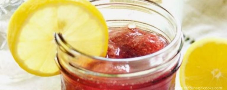 Easy Lemon Blueberry Moonshine Slush Recipe – A Guide to Making This ...