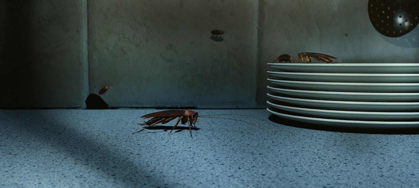 How to Get Rid of Cockroaches in Kitchen Cabinets